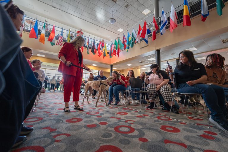 UIndy continues beloved live mascot program with introduction of Grady ...